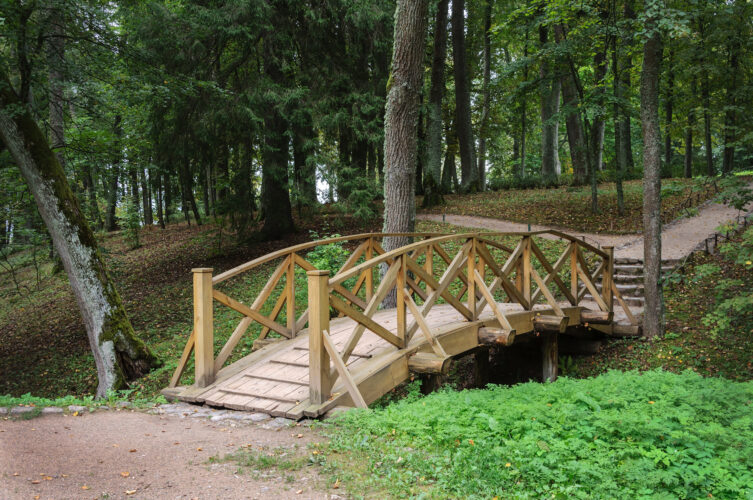 How to Build a Log Bridge – Mother Earth News